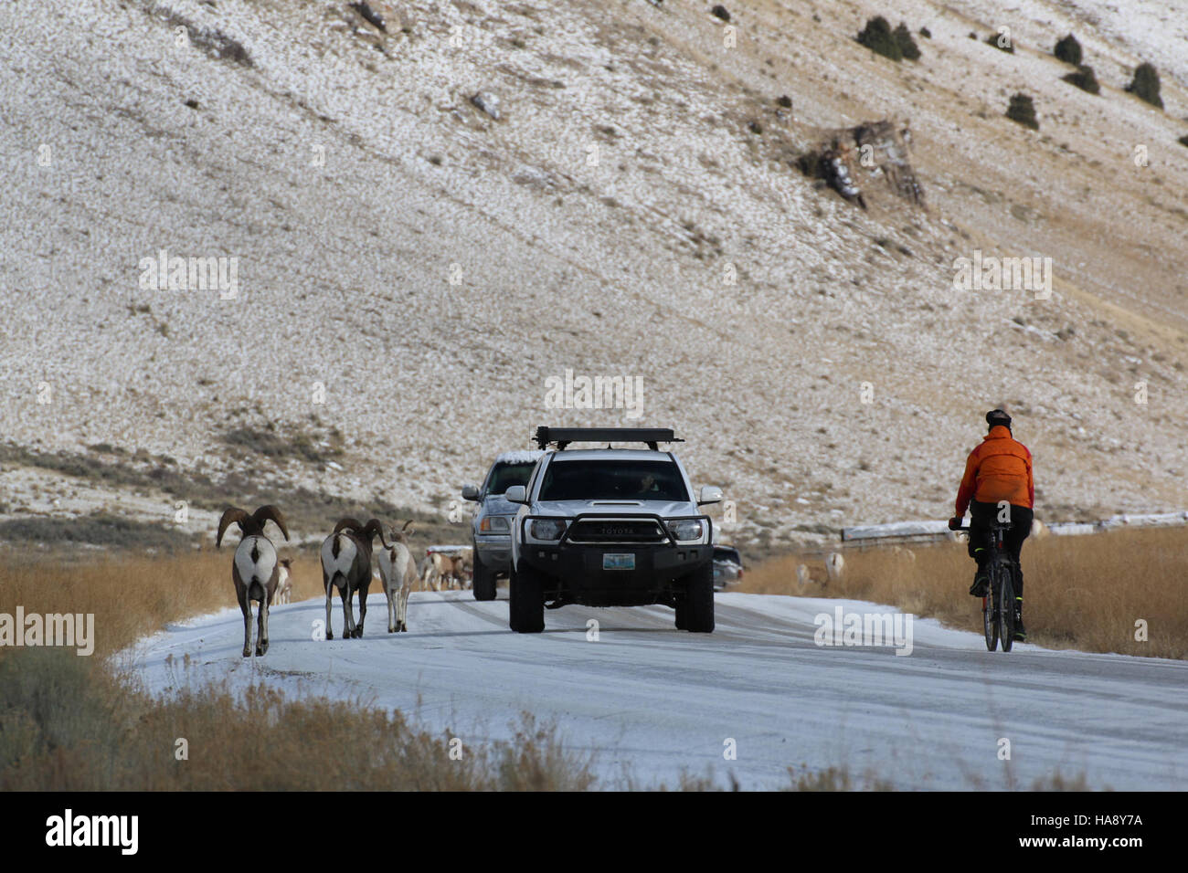 usfwsmtnprairie 22622569604 Refuge Road Activity Stock Photo - Alamy