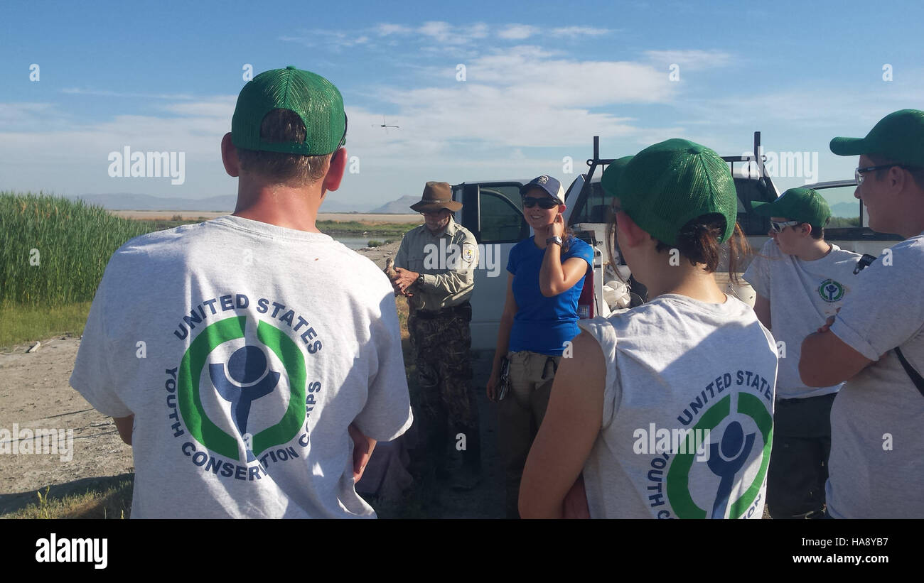 The Youth Conservation Corps (YCC) program teaches students the process of bird banding as part ...