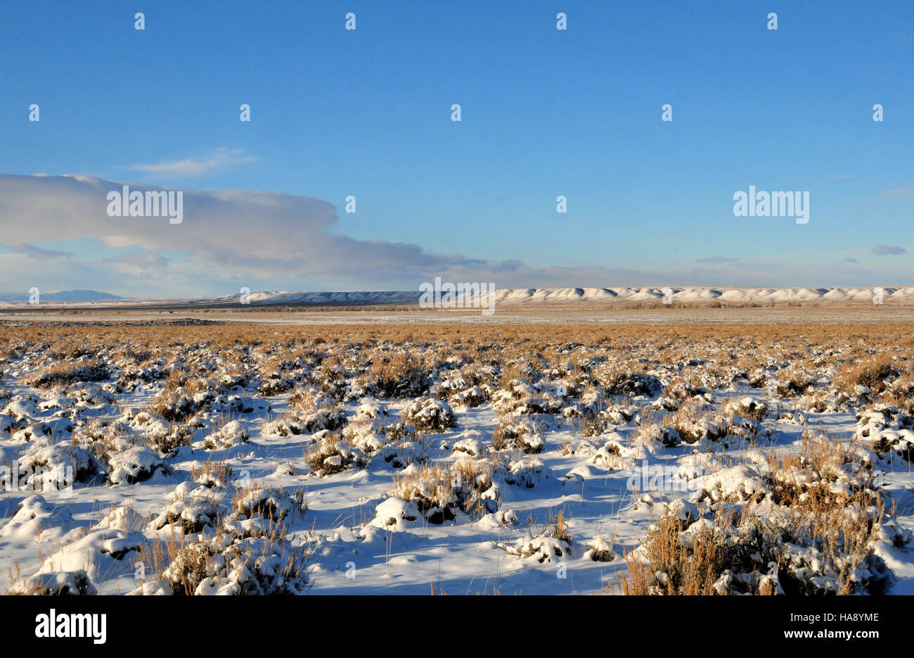 The winter landscape of the Sage Steppe at Seedskadee National Wildlife ...