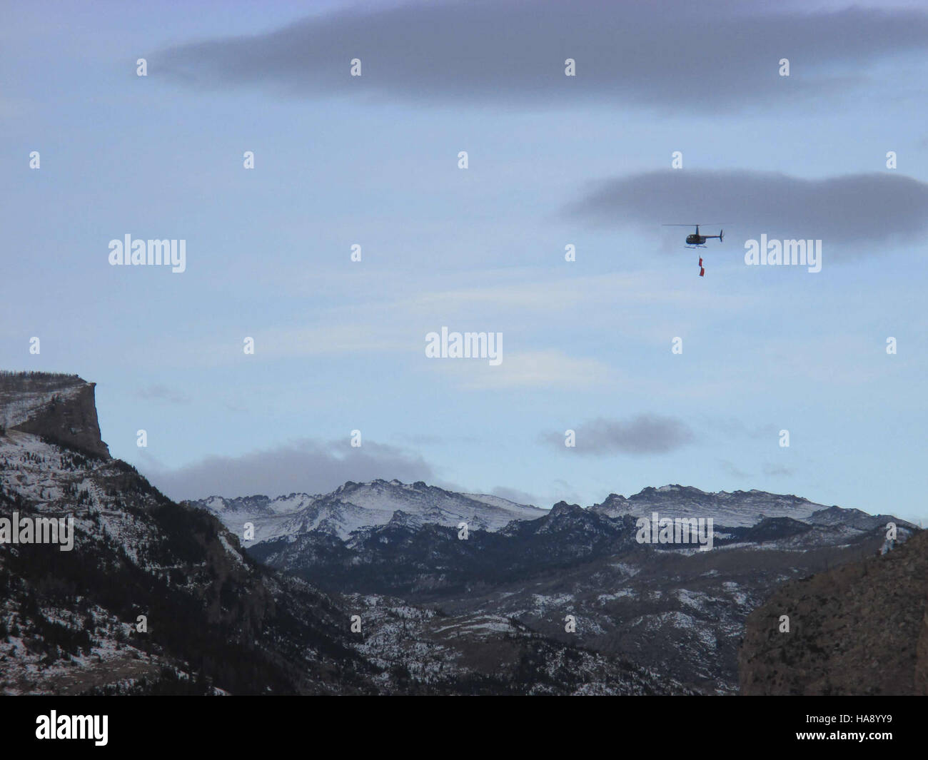 usfwsmtnprairie 25266205242 Bighorn Sheep Operation Stock Photo - Alamy