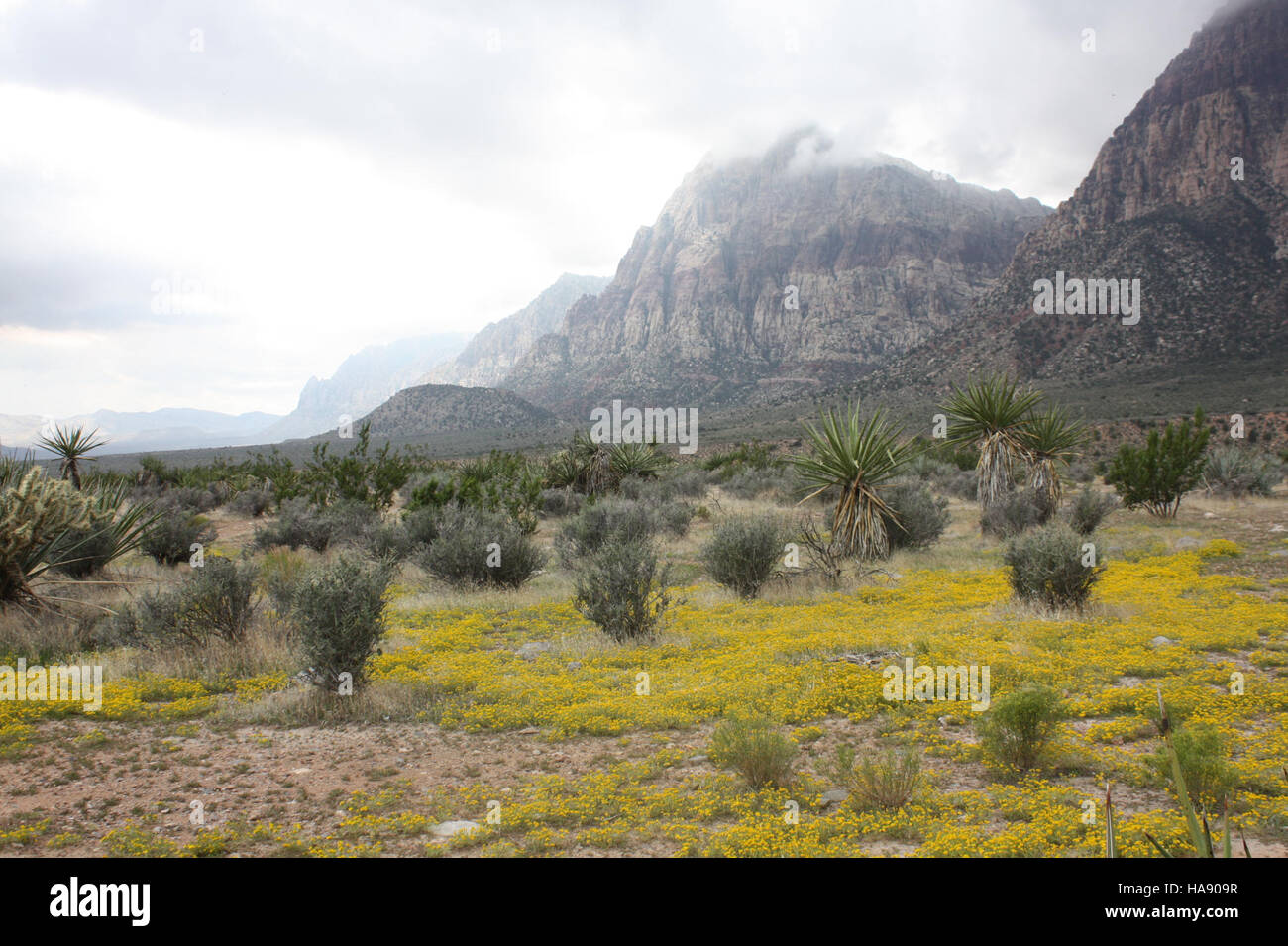 Cliff wilson hi-res stock photography and images - Alamy