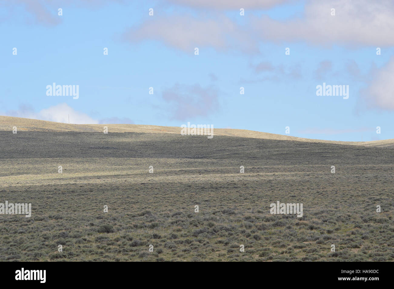 The expansive sagebrush sea in Wyoming's national parks supports ...