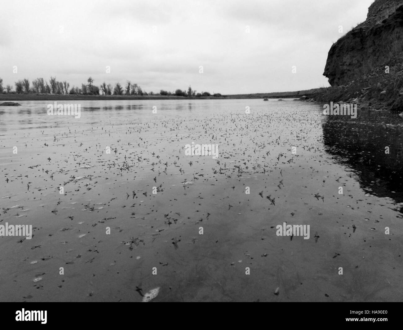 Biodiversity refuge Black and White Stock Photos & Images - Alamy