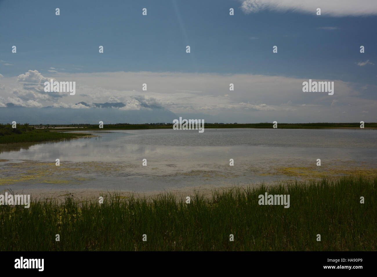 Conservation through community involvement hi-res stock photography and ...