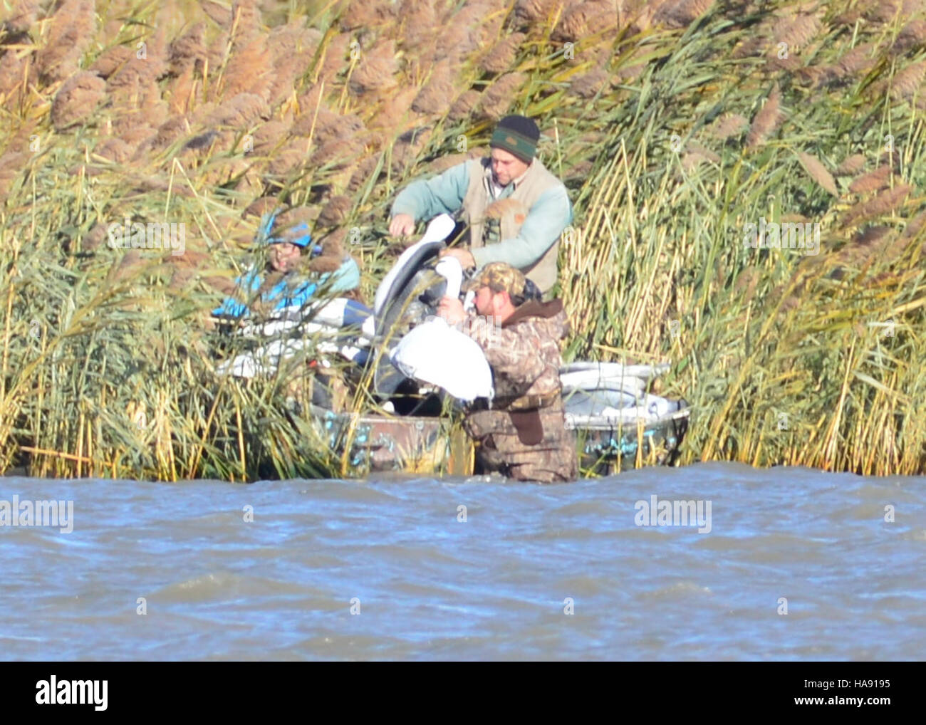 A wildlife management professional retrieves decoys used for hunting ...