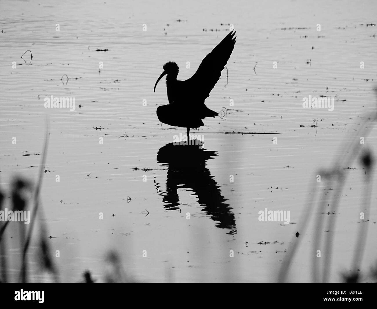 Wellness outdoor activity Black and White Stock Photos & Images - Alamy