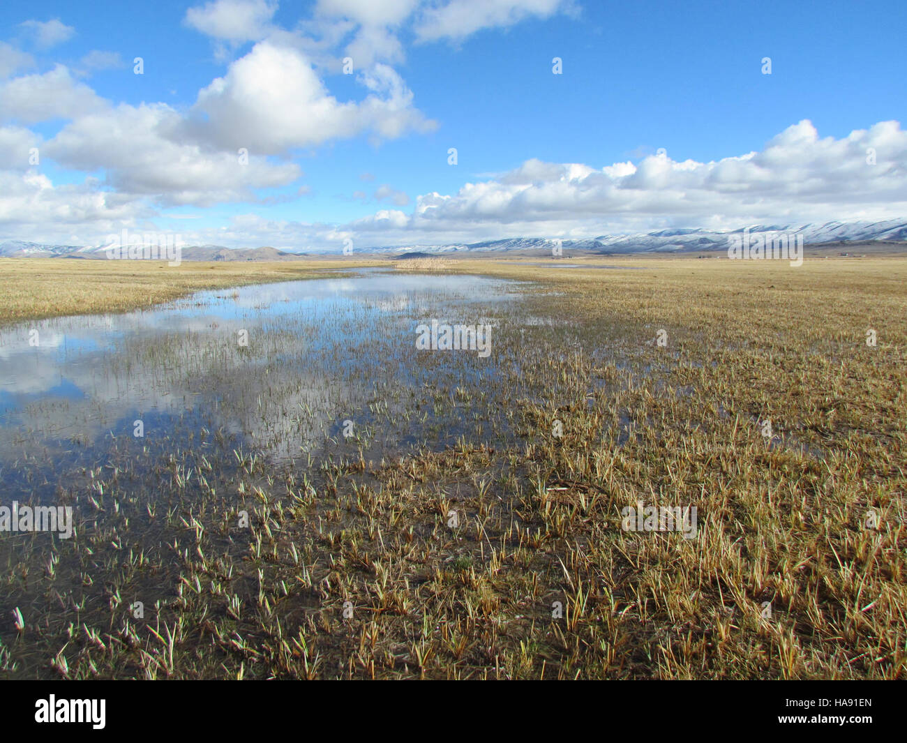 The Bear River watershed wetlands in Wyoming, photographed in October ...