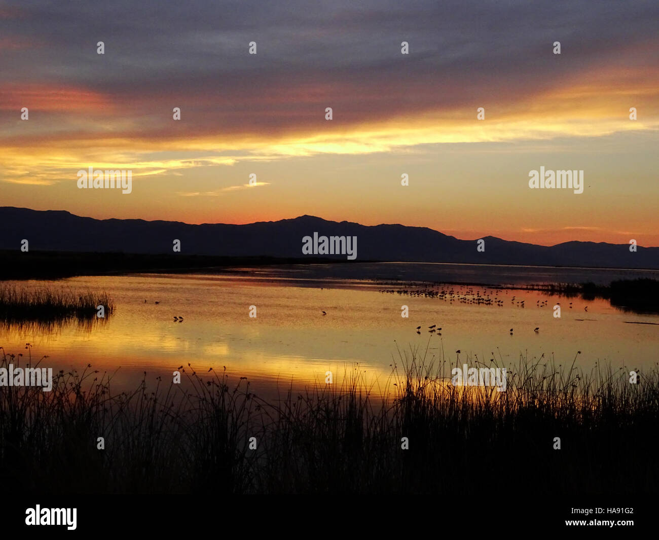 The serene landscape of Serenity National Park offers tranquil settings ...
