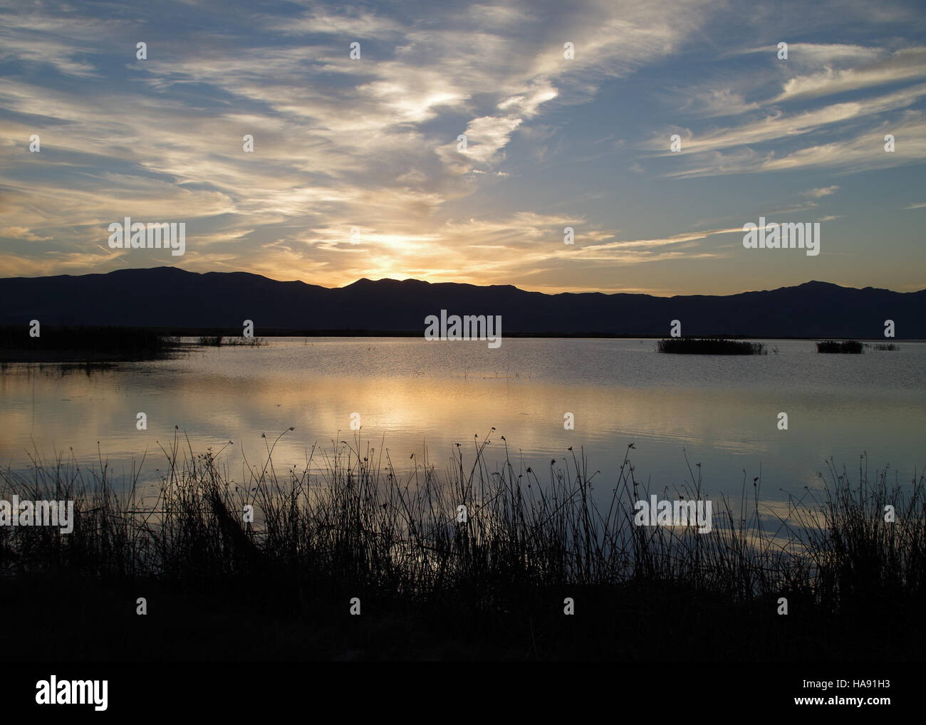 Serenity National Park is known for its tranquil landscapes and diverse ...