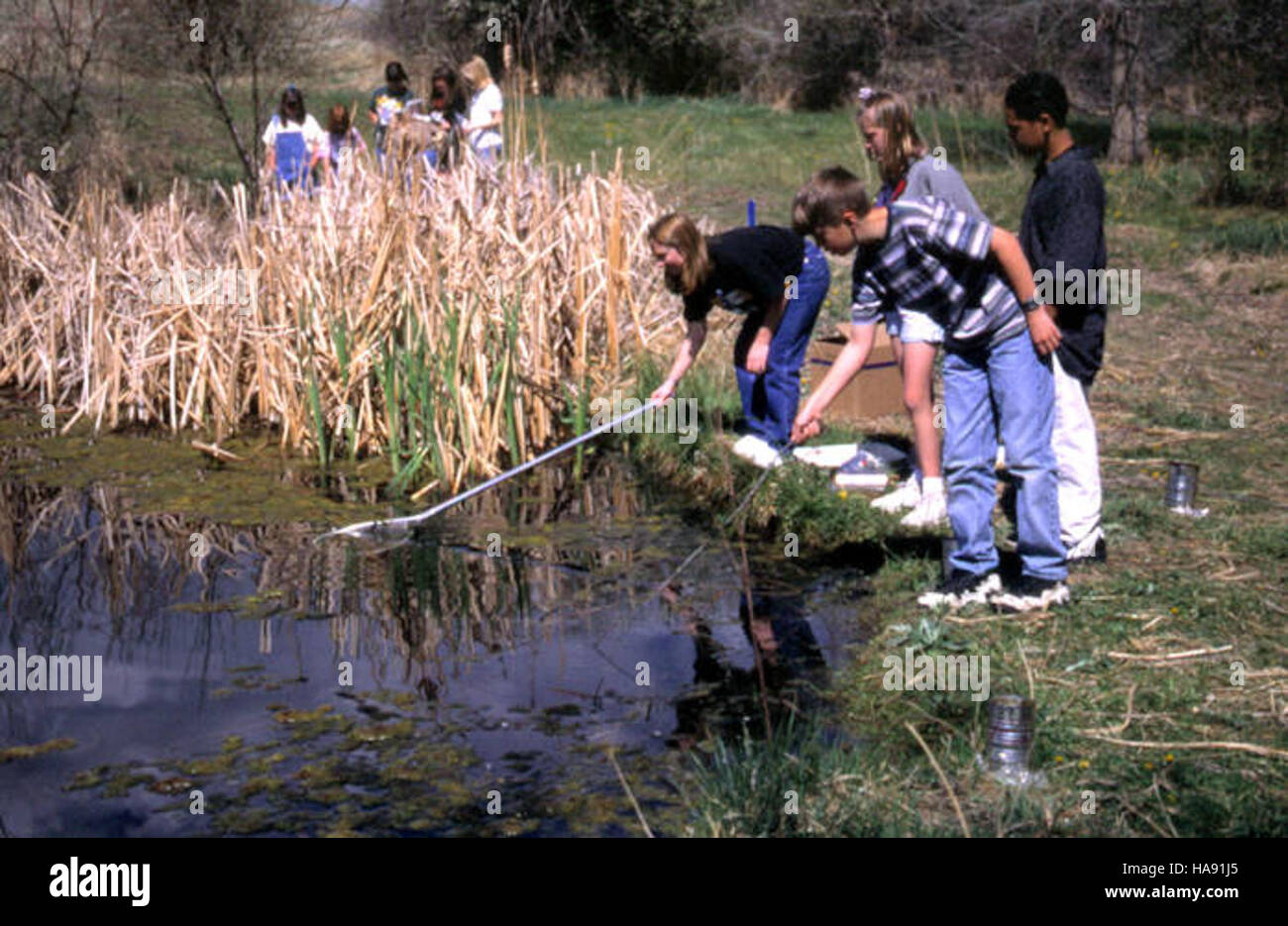 This image shows the serene landscape of the Two Ponds National ...