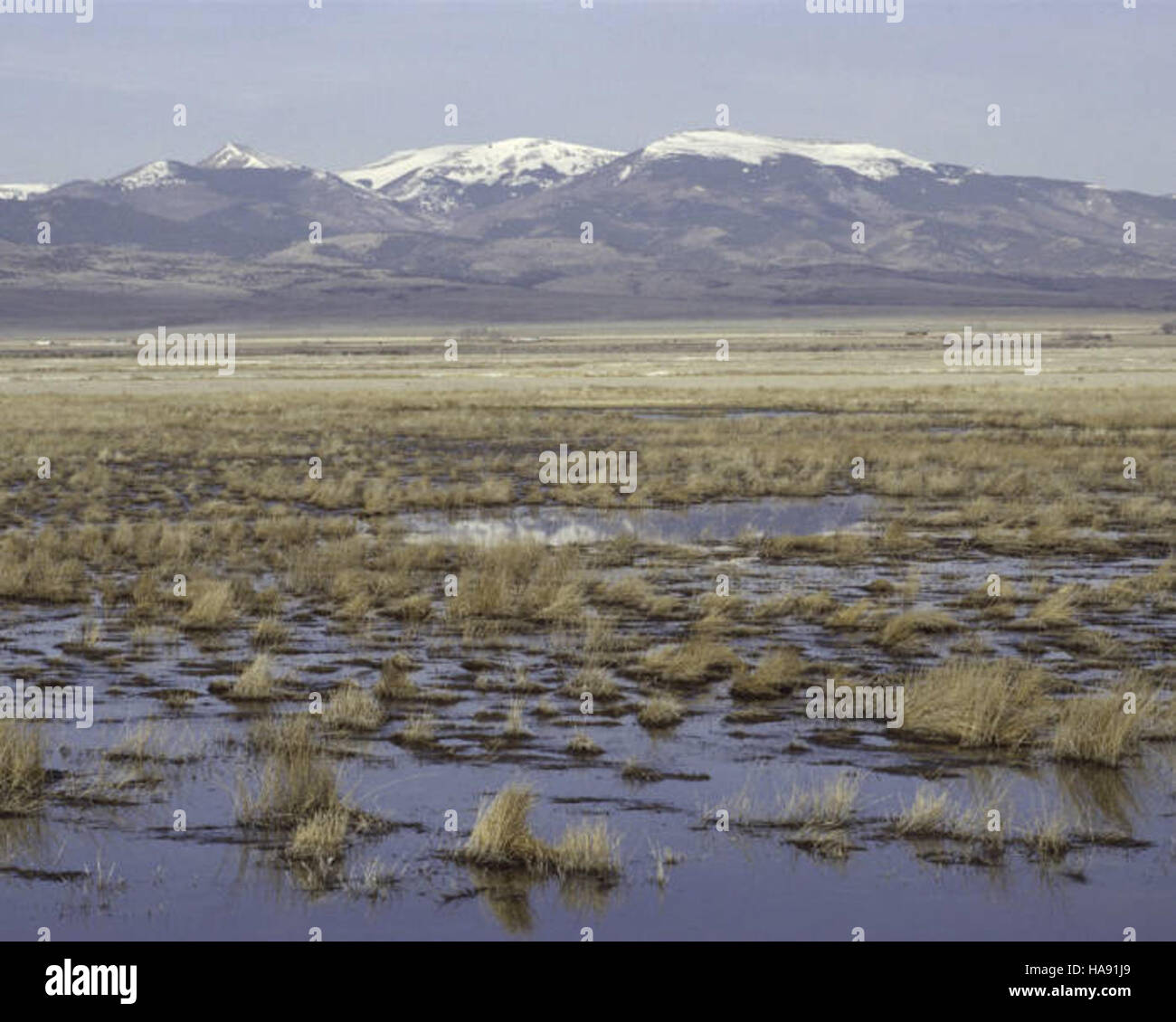 Alamosa National Wildlife Refuge offers protected habitats for wildlife ...