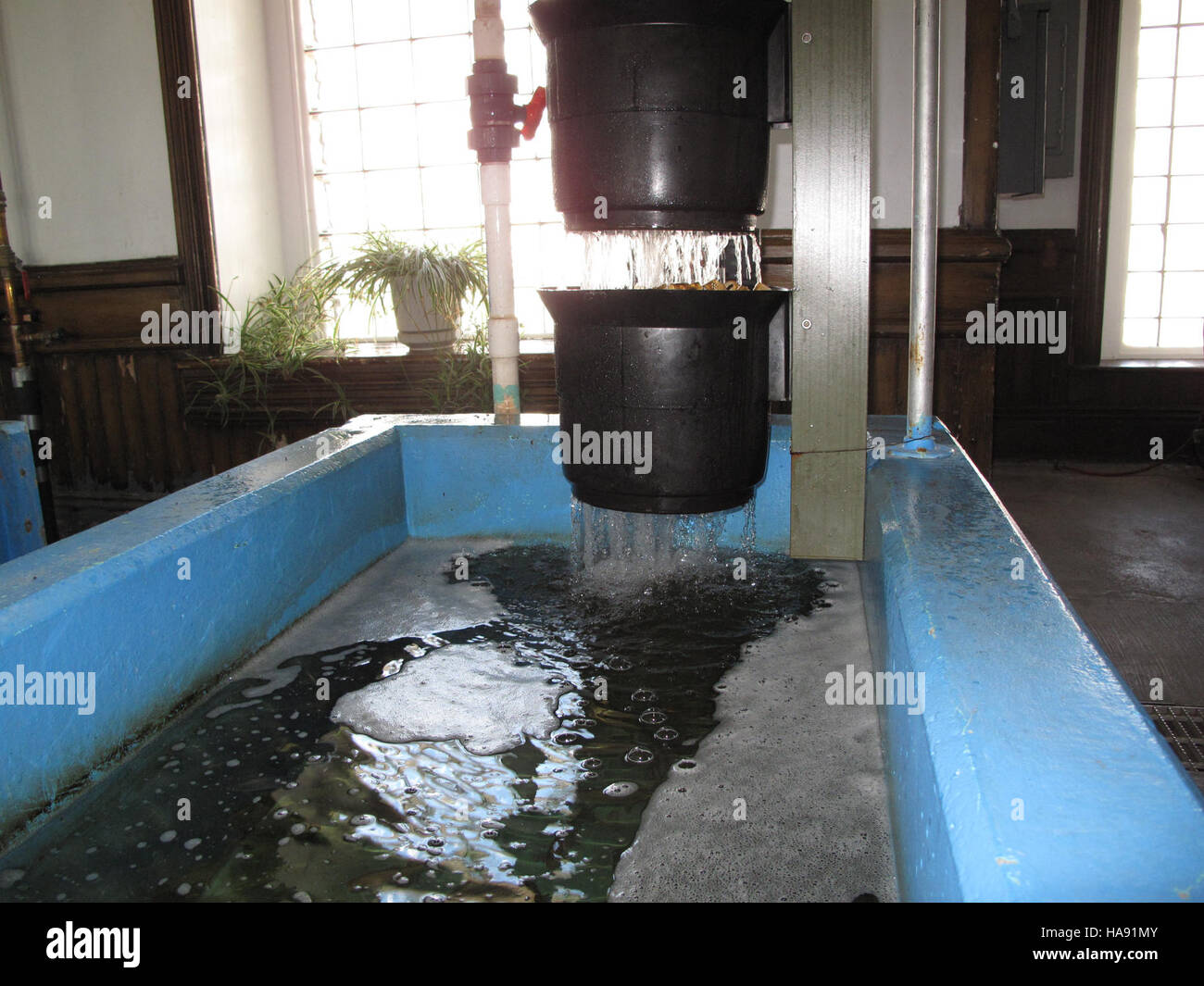 The Leadville National Fish Hatchery in Colorado plays a critical role ...