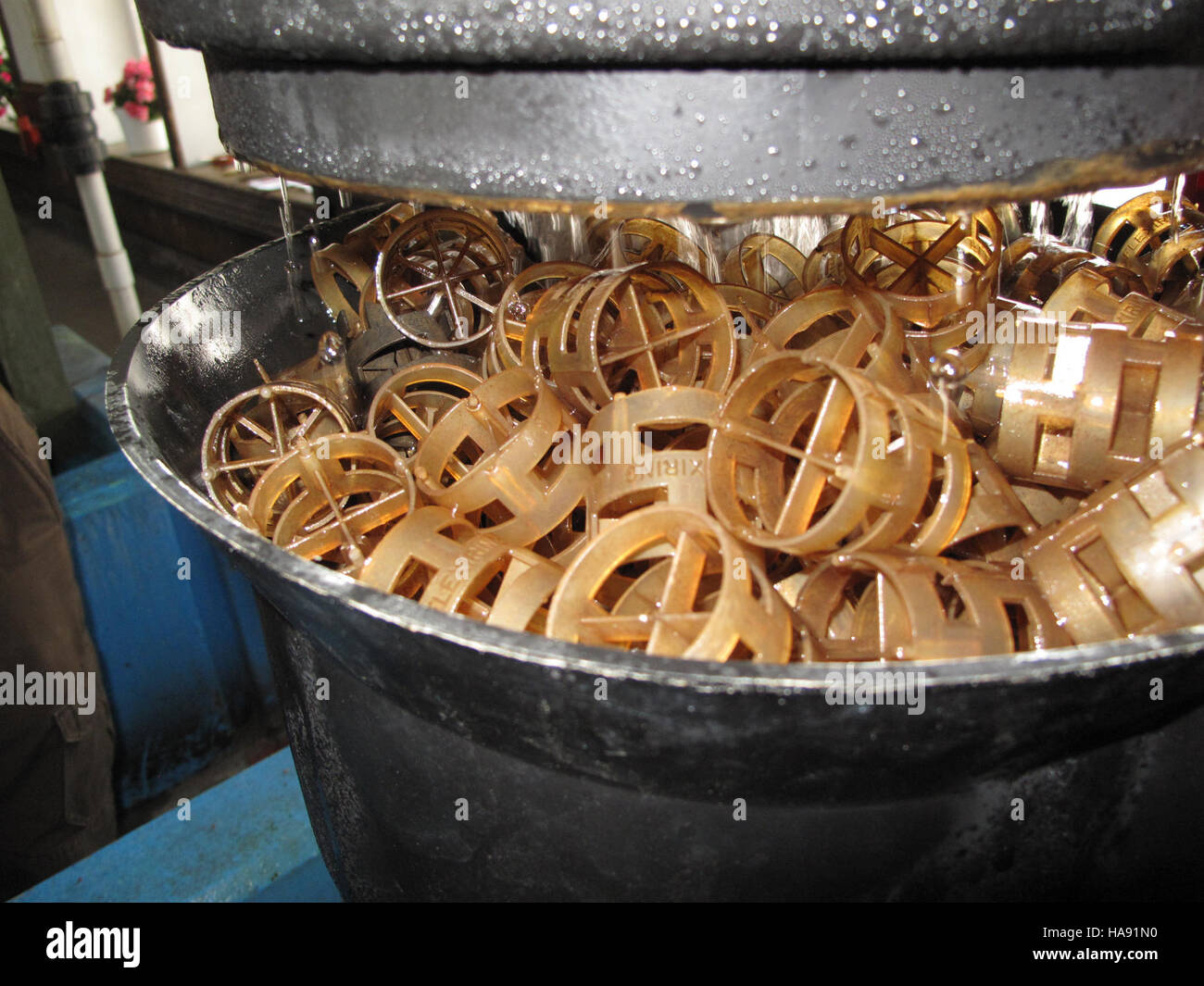 The Leadville National Fish Hatchery in Colorado works to conserve ...