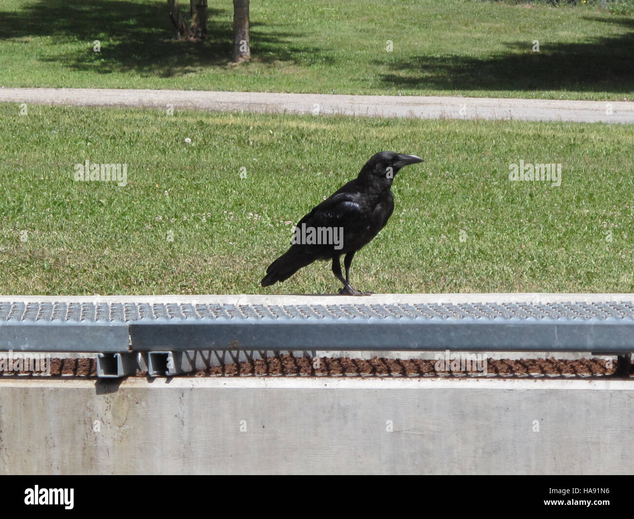 The Leadville National Fish Hatchery in Colorado plays a key role in ...