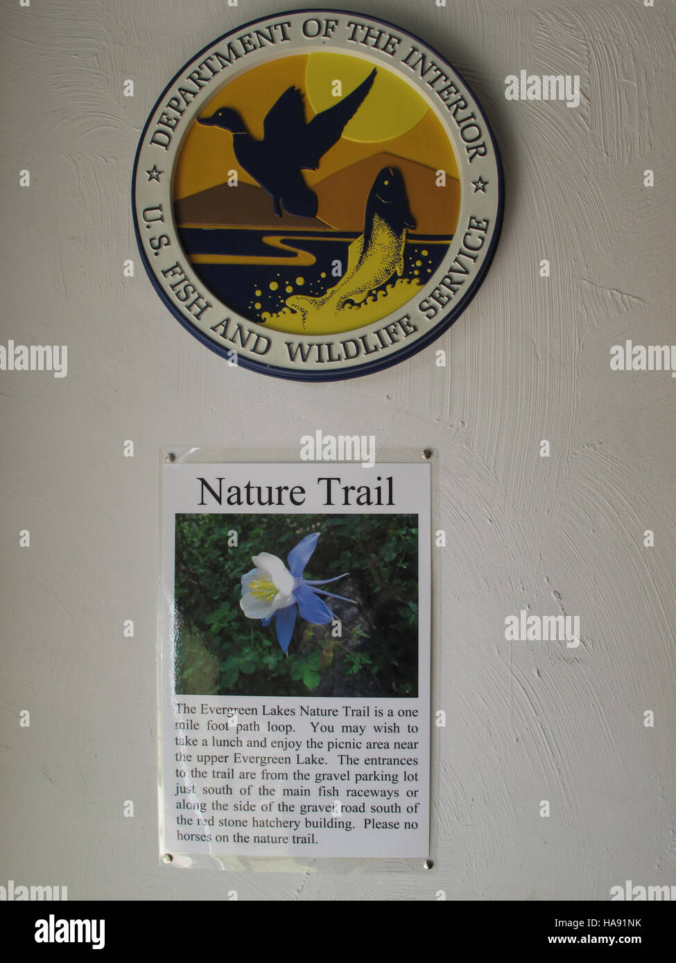 Leadville National Fish Hatchery in Colorado focuses on the ...