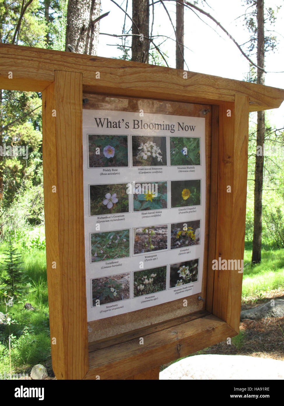 Leadville National Fish Hatchery, located in Colorado, plays a critical ...