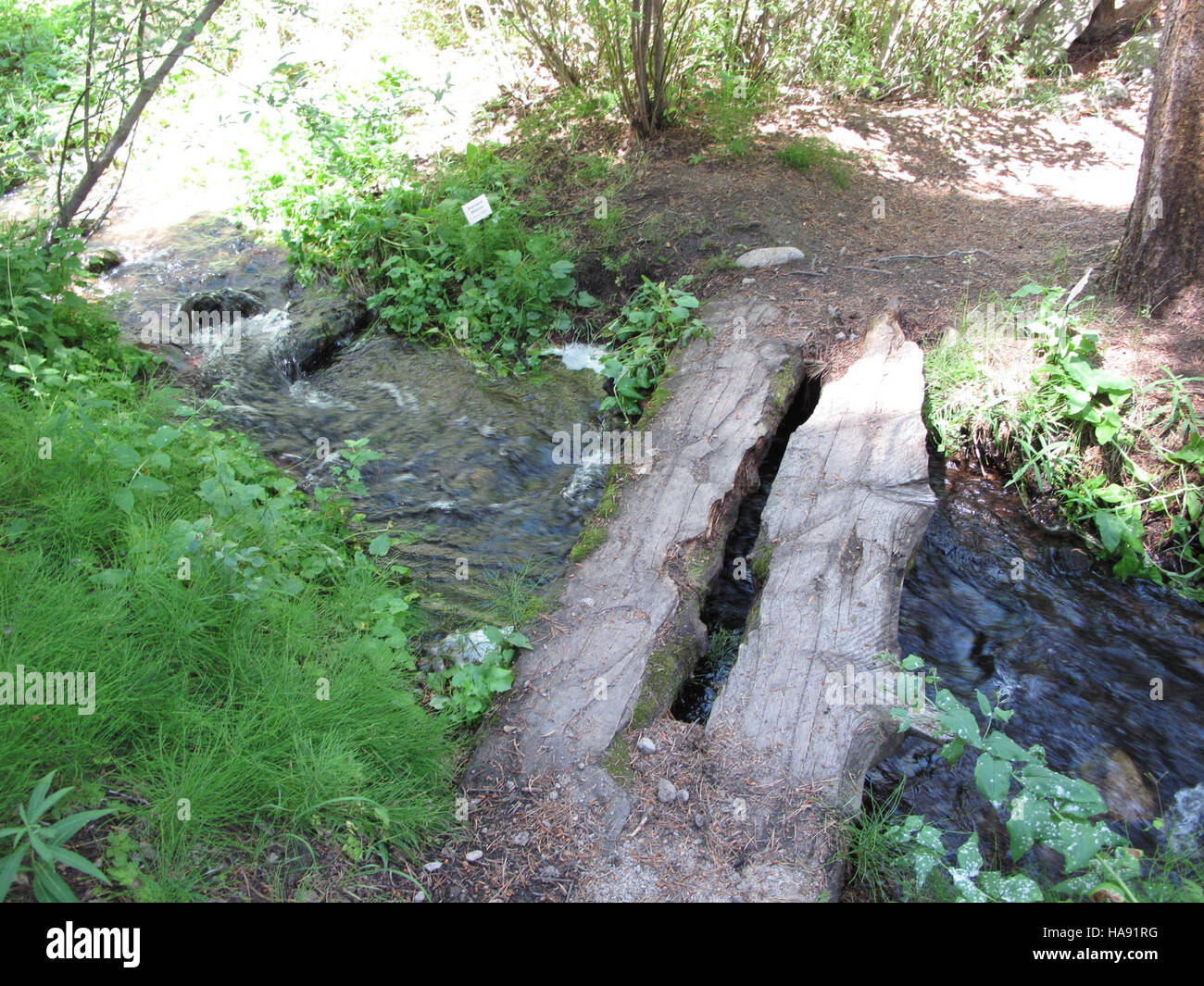 The Leadville National Fish Hatchery, located in Colorado, is part of a ...