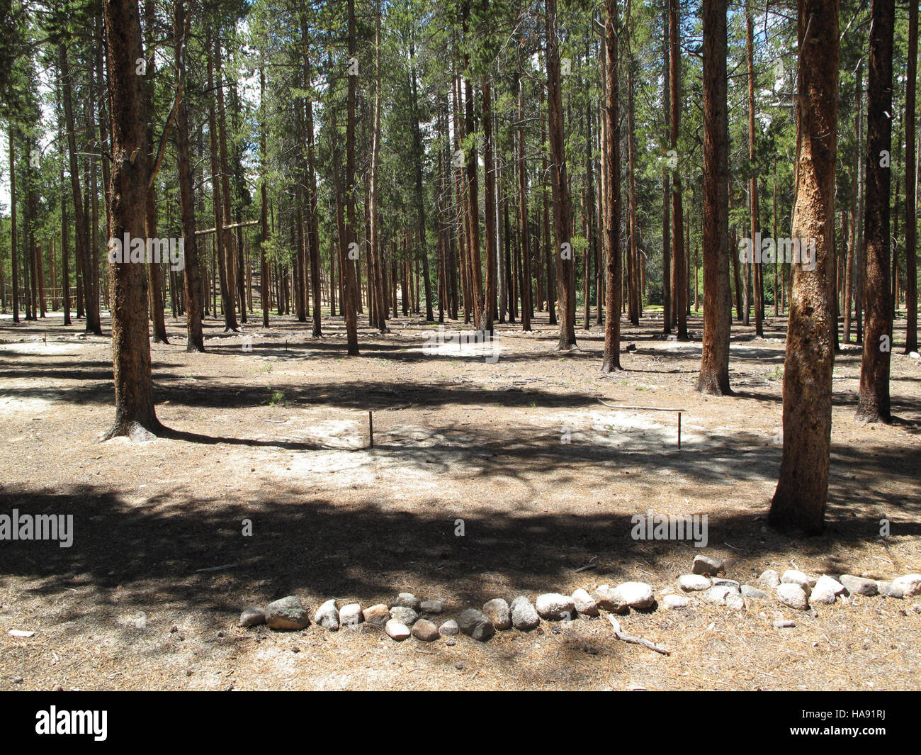 Leadville National Fish Hatchery in Colorado plays a key role in the ...