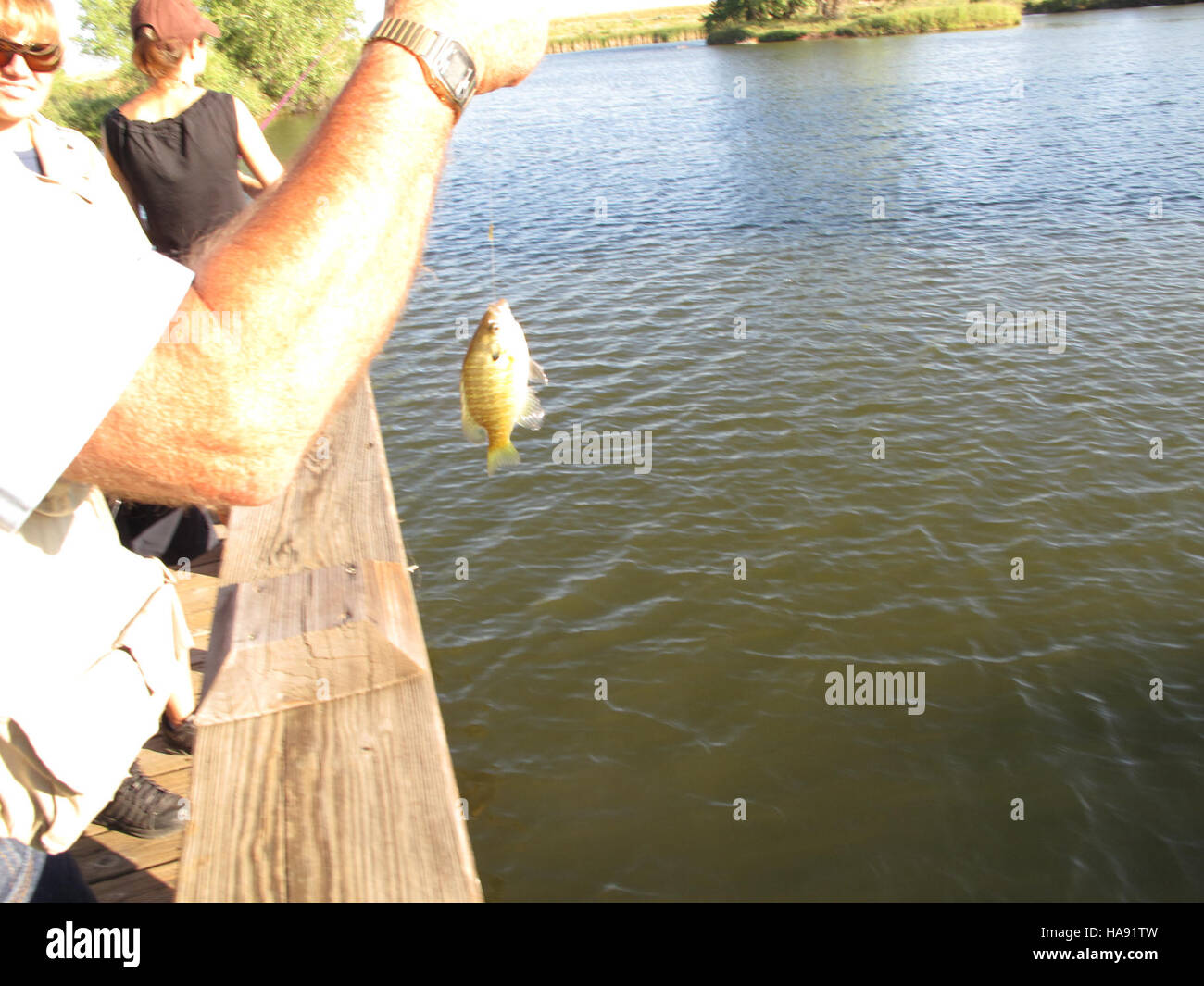 A moment captured of an individual catching a fish in a national park ...