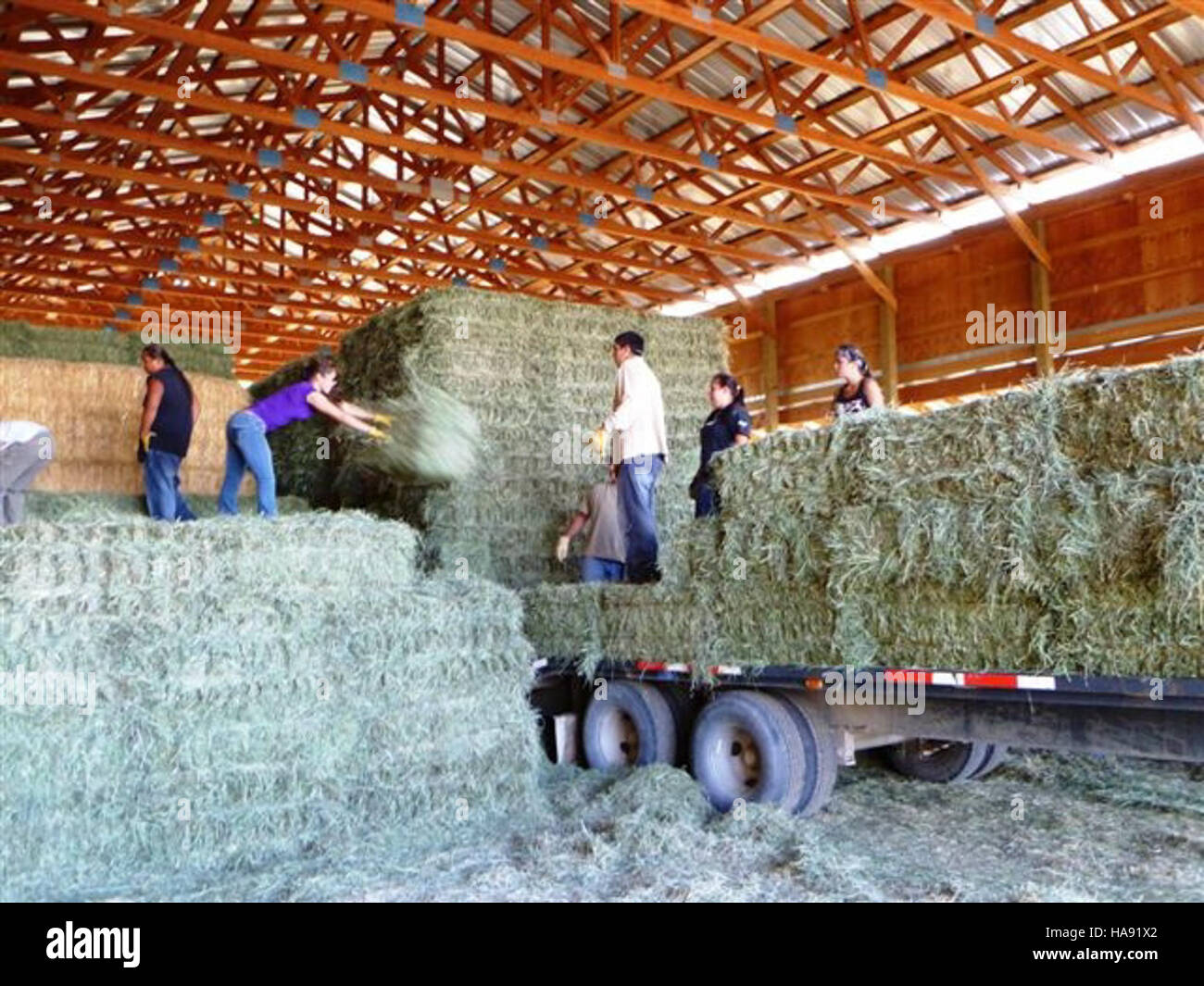 The Montana Tribal Youth Conservation Corps (YCC) program engages ...