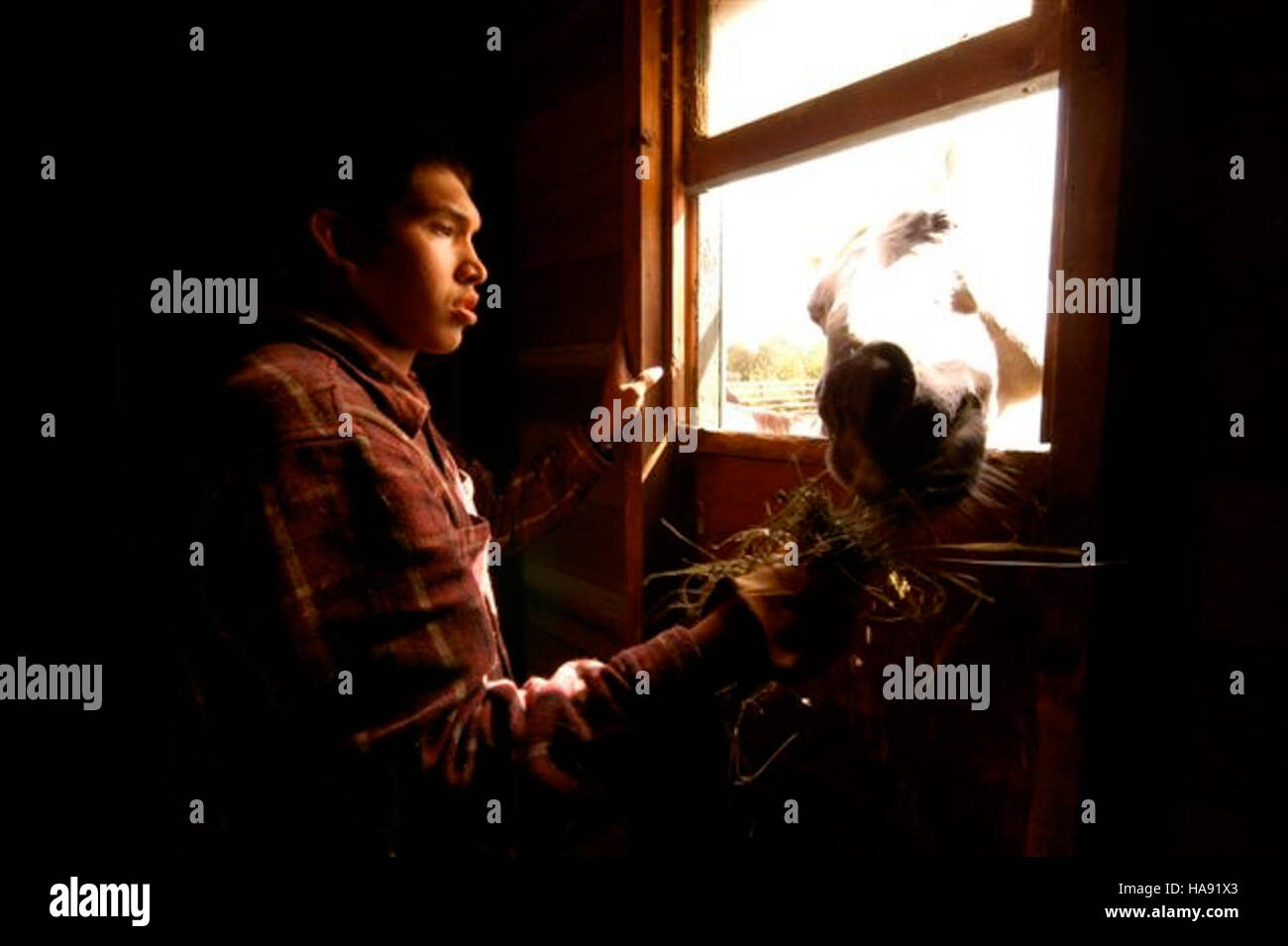 The Montana Tribal Youth Conservation Corps (YCC) program involves ...