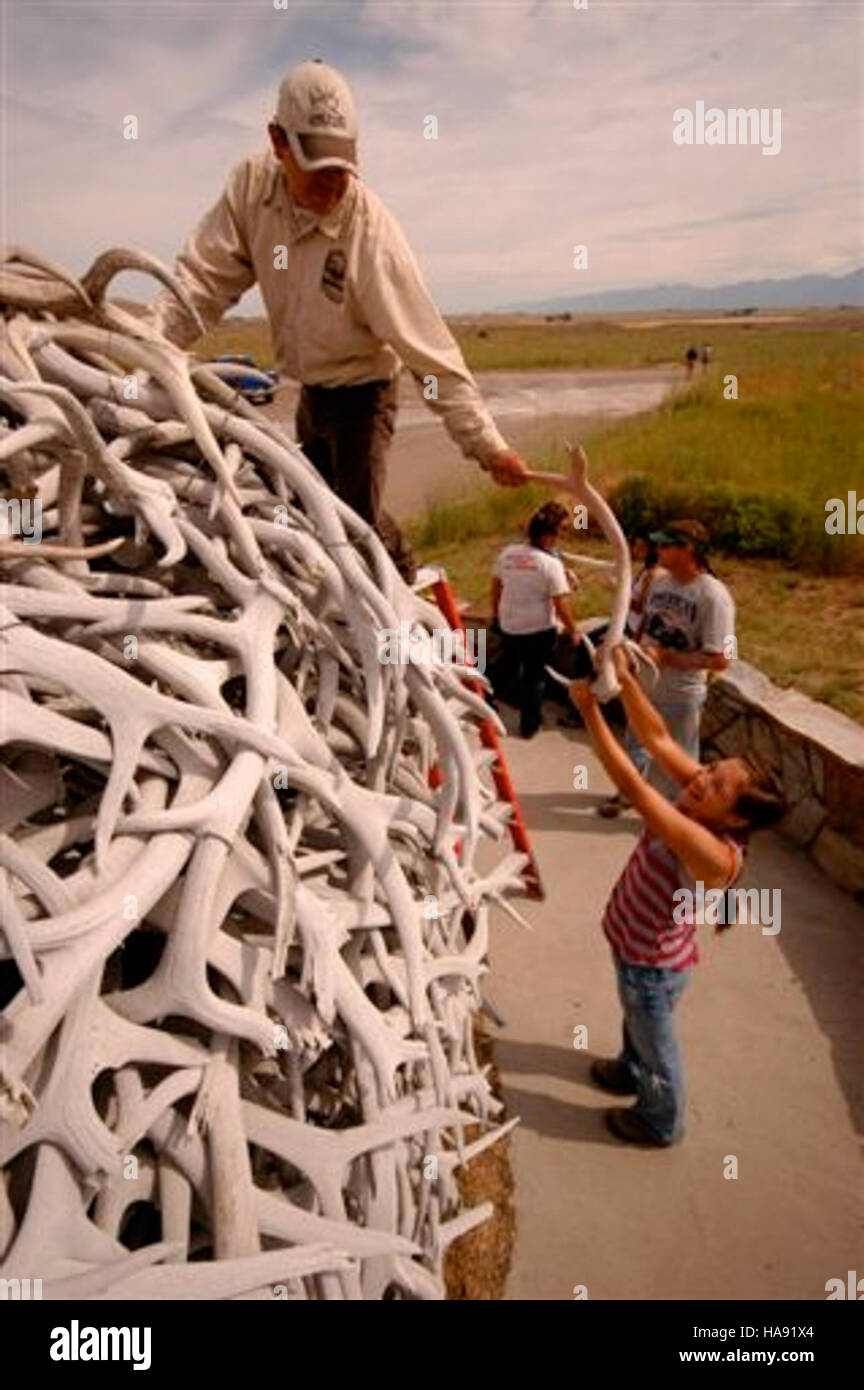 The Montana Tribal Youth Conservation Corps (YCC) program involves Native American youth in ...