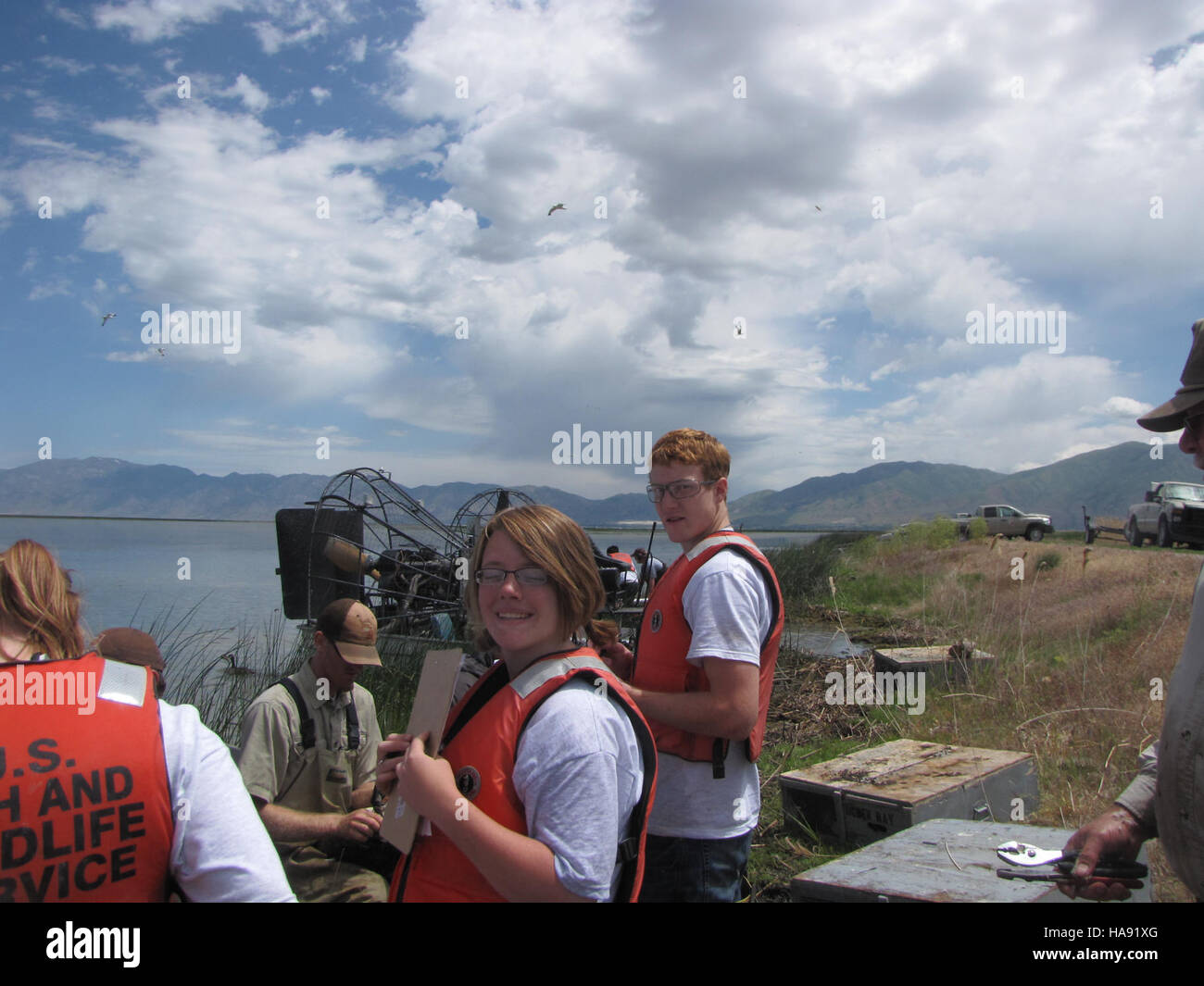 usfwsmtnprairie 4976518291 YCC crew helping with bird banding Stock ...