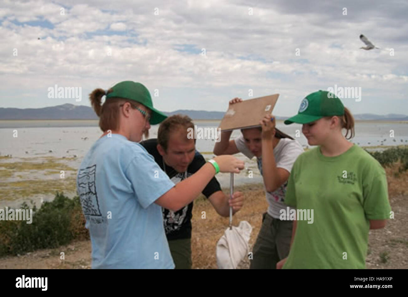 Students and YCC (Youth Conservation Corps) crew members weigh a California gull in a national ...