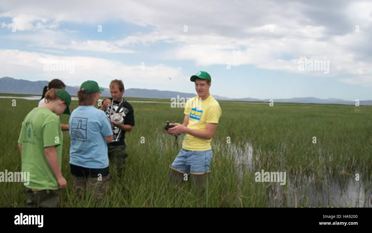 Bird banding is an important scientific method used to track bird ...
