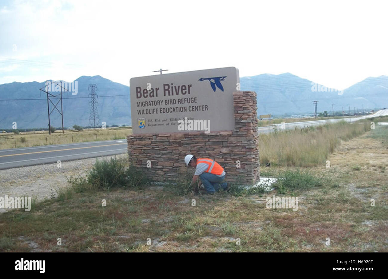 A habitat restoration project is taking place near the Bear River ...