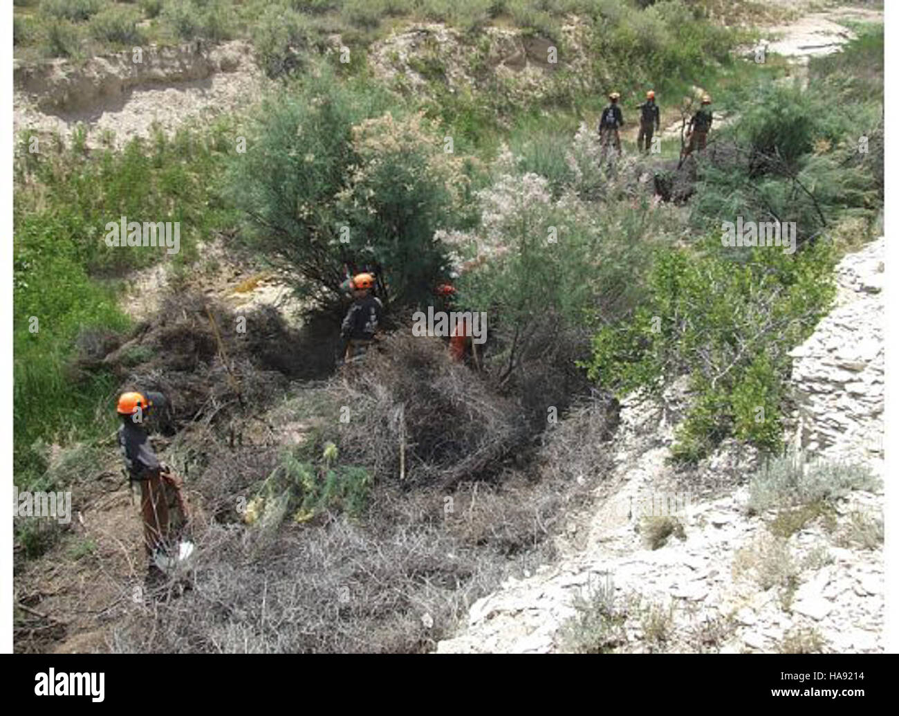 The Mile High Youth Corps collaborates with national parks to provide ...