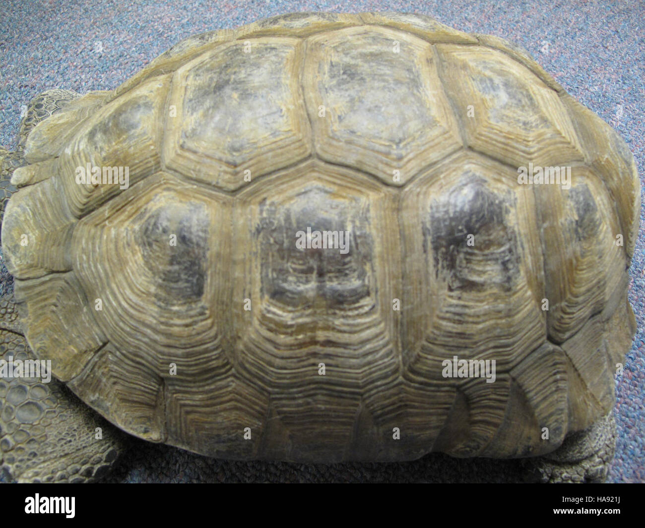 This image represents Shell National Park, a protected area dedicated ...