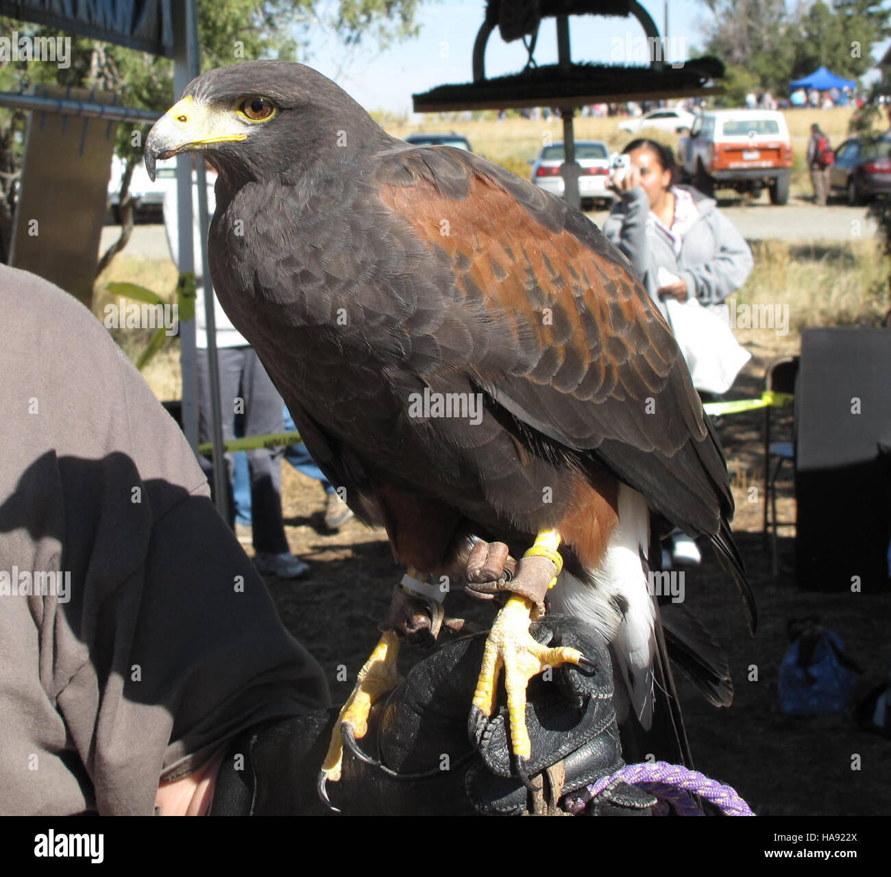 The 2010 Refuge Round-Up event brought together communities and ...