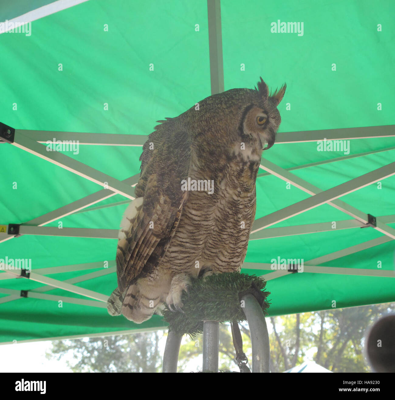 The 2010 Refuge Round-Up event showcased the efforts of the U.S. Fish ...