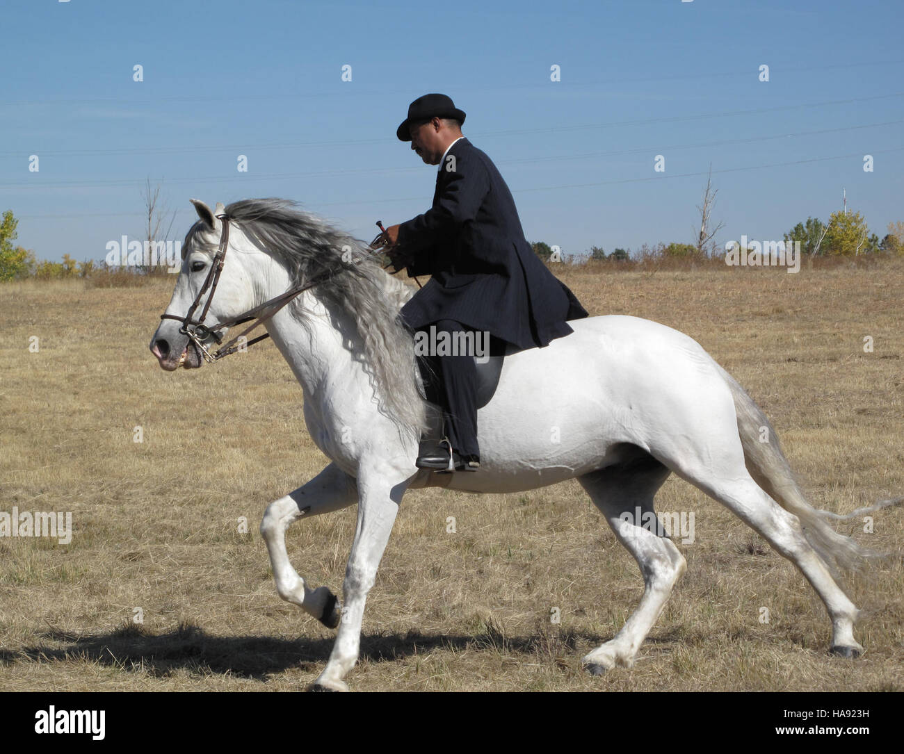 The 2010 Refuge Round-up event highlighted conservation initiatives and public engagement at a ...