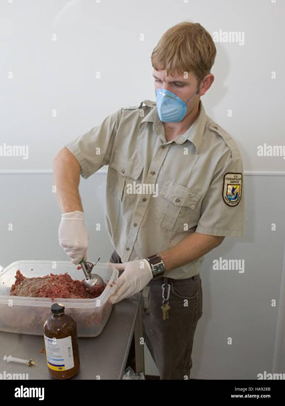 Wildlife in national parks, such as those in the Mountain Prairie ...