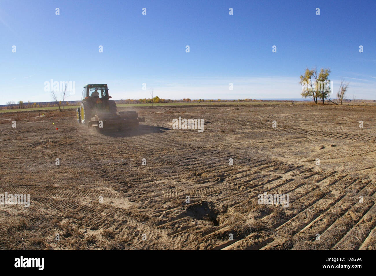 Imprinting is a behavior observed in some species, where they learn to ...