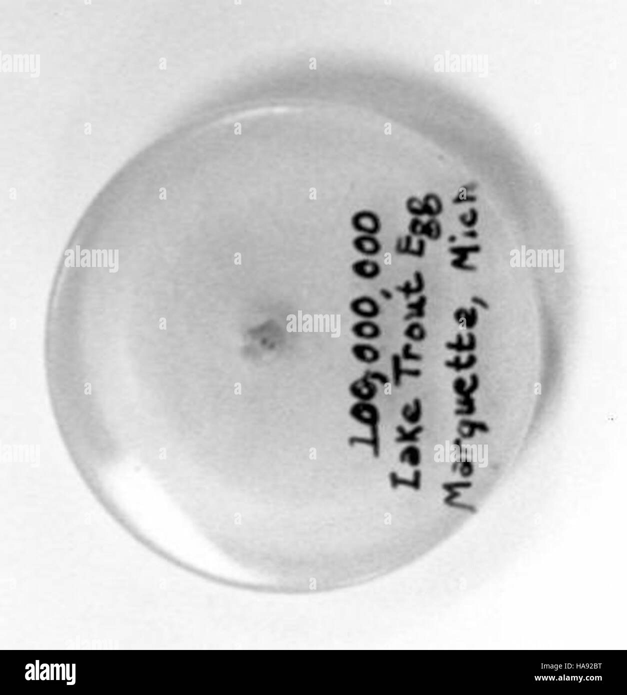 U s fish wildlife Black and White Stock Photos & Images - Alamy