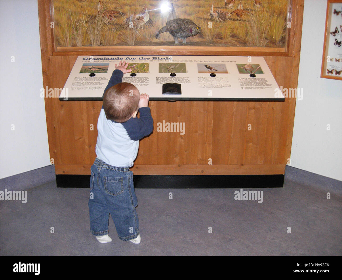 usfwsmtnprairie 5277993299 Grassland Birds Interpretive Display Stock ...