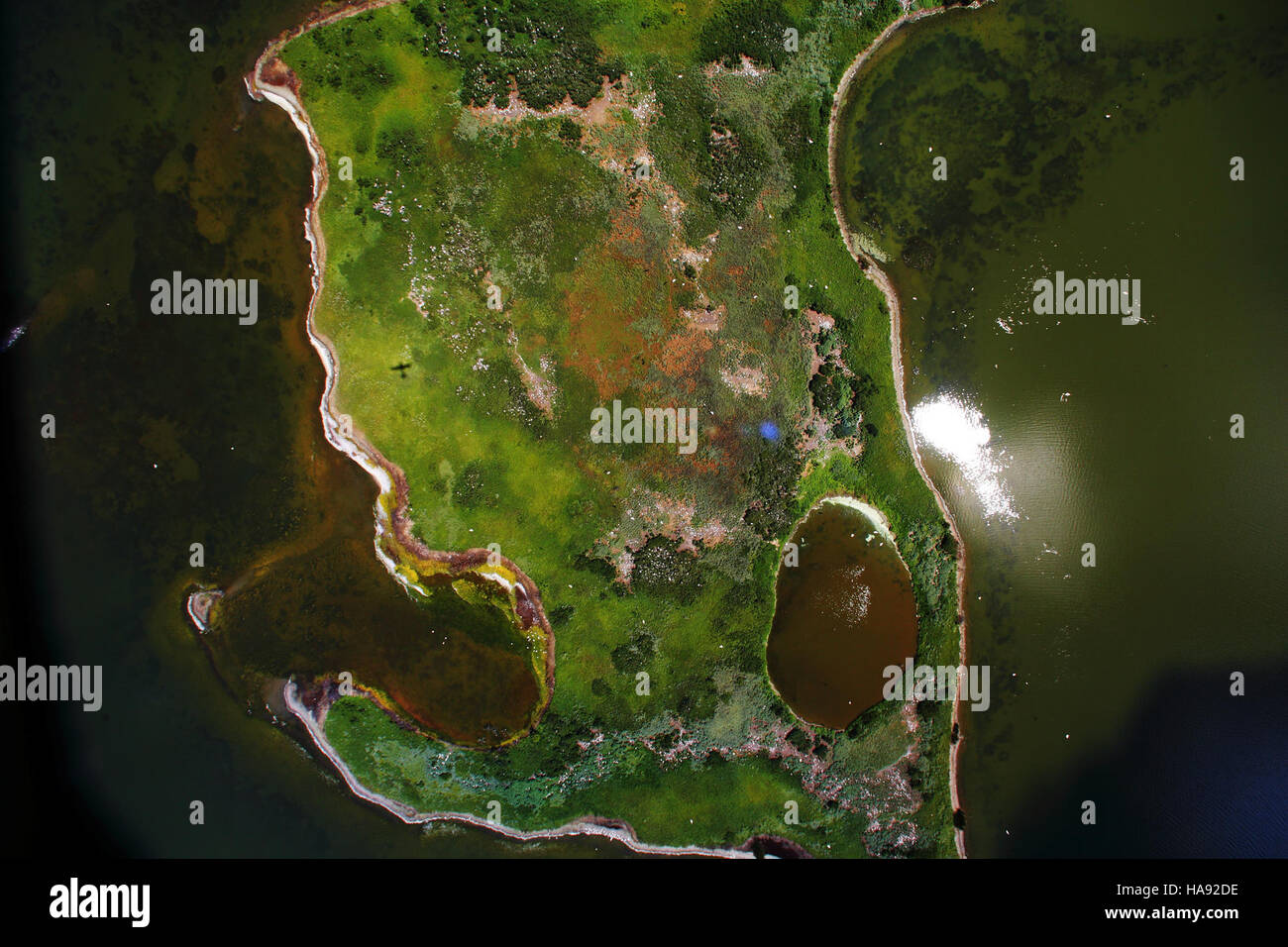 Aerial view of a large nesting island in a national park, highlighting ...