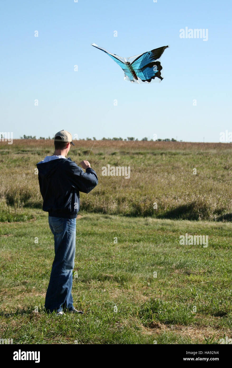 Kites in Flight, captured in this image, highlights the interaction ...
