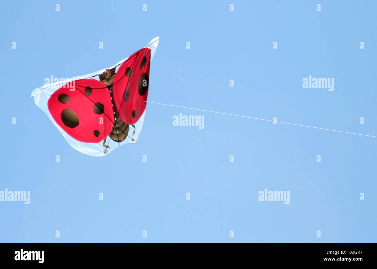 The 'Kites N Flight' event showcases various kite flying activities and ...