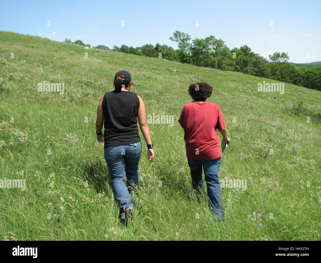 usfwsmtnprairie 5434923881 Plant Inventory Stock Photo - Alamy