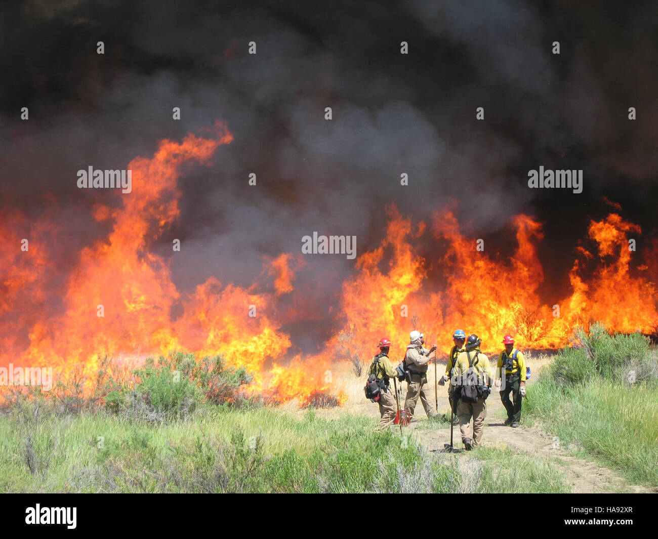 A prescribed fire burns through Knox Bottom to manage habitat and ...