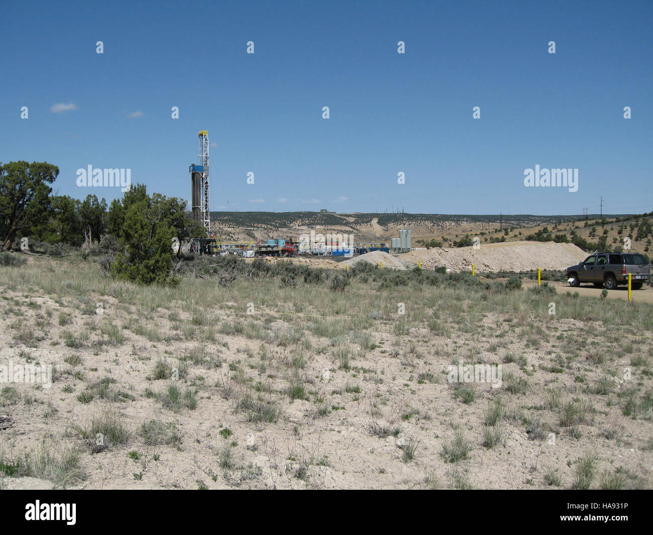 Dudley Bluffs Bladderpod and Twinpod are rare plant species native to ...