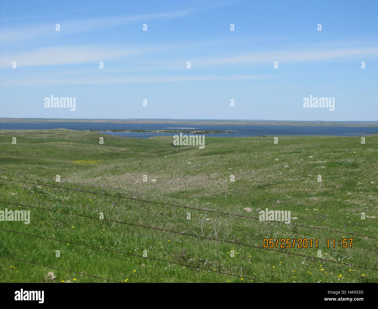 A nesting island in Chase Lake National Wildlife Refuge, providing a ...