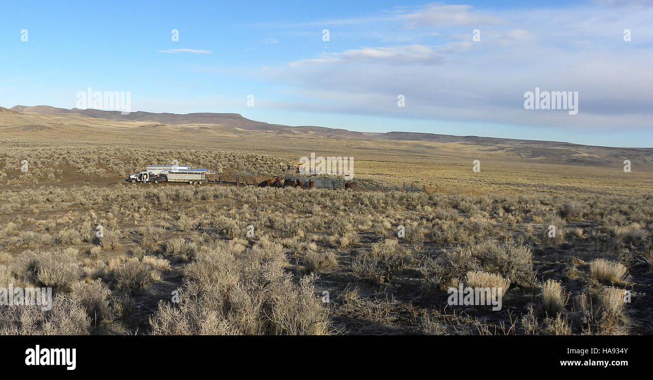 This image from the Bureau of Land Management (BLM) in Nevada shows a ...