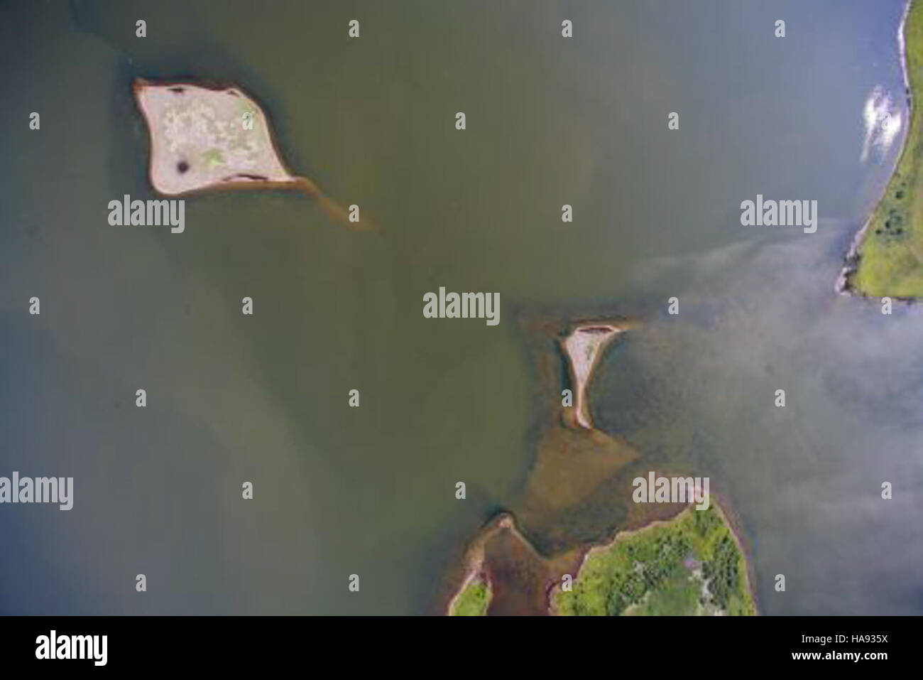 Wildlife nesting activities hi-res stock photography and images - Alamy