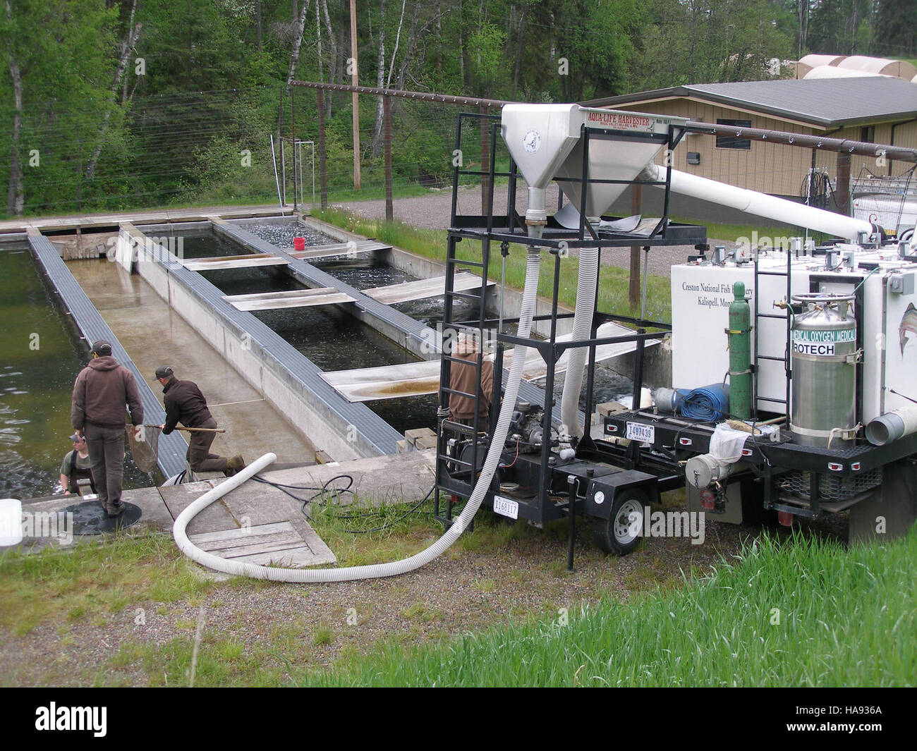 Fish are loaded for stocking into waterways at a national wildlife ...