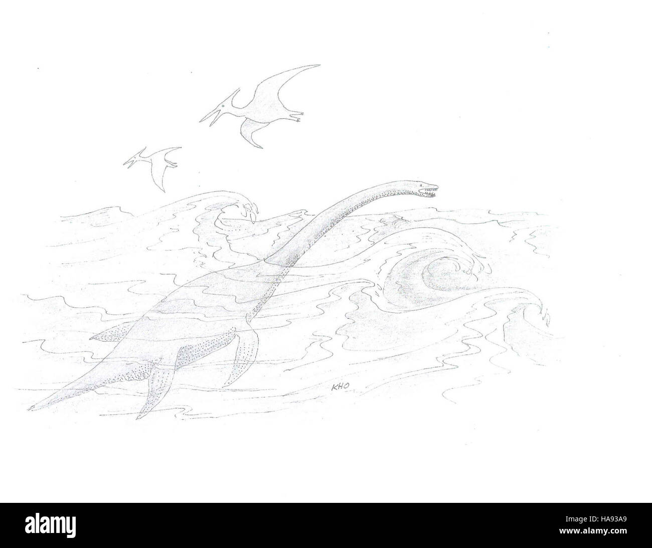 Plesiosaur Cut Out Stock Images & Pictures - Alamy